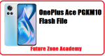 FLASH FILE - future zone academy