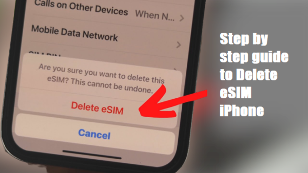 Delete eSIM iPhone - future zone academy